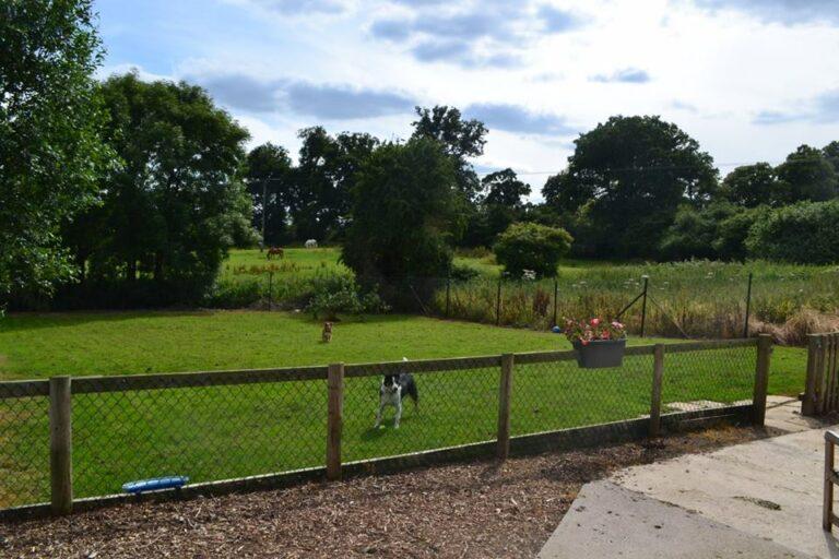 Ryslip Boarding Kennel in Binfield